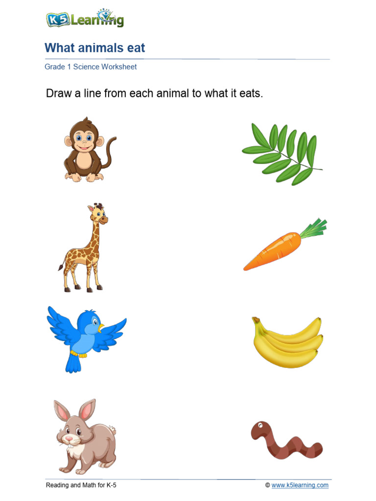 Grade 1 Animals Food B | PDF | Language Arts & Discipline | Teaching ...