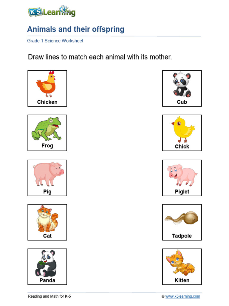 Animals and Their Offspring Worksheet | PDF