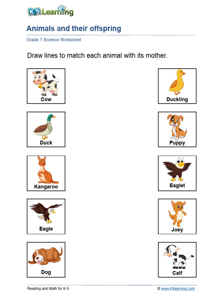 Grade 1 Animals Offspring A | PDF