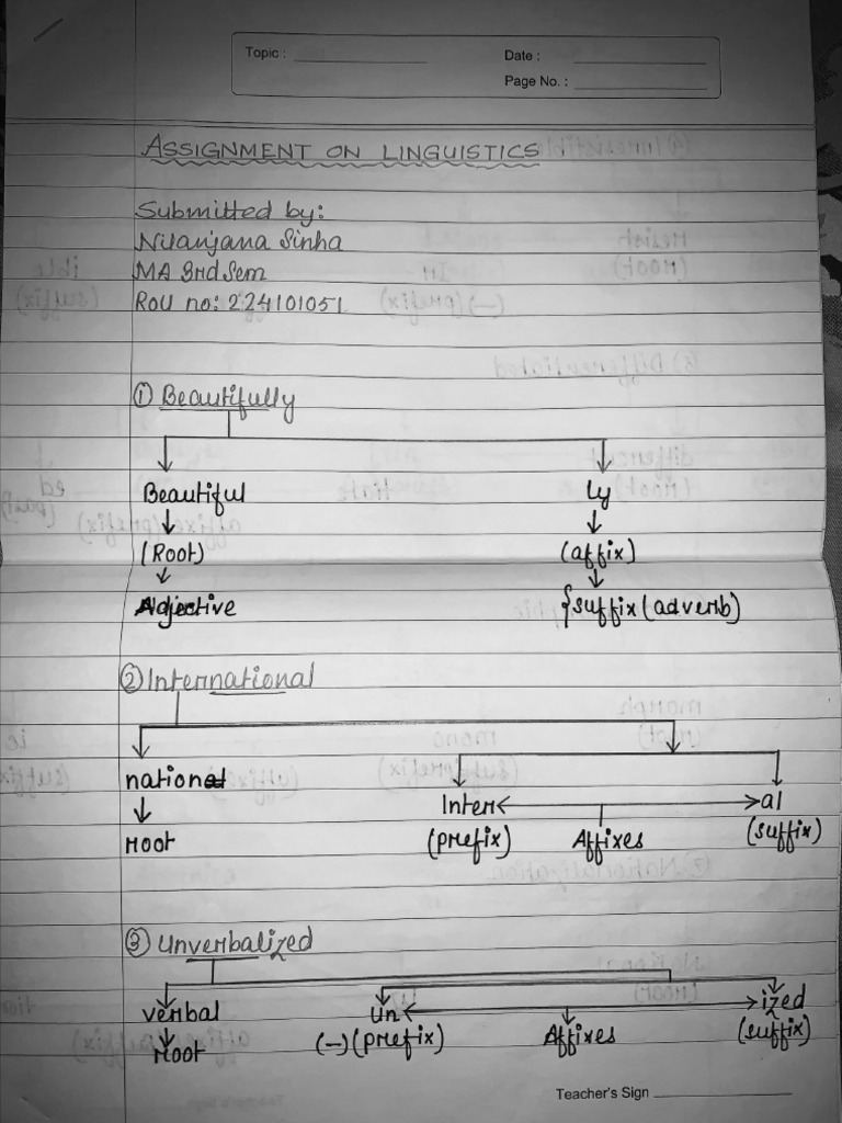 Assignment (Morphology) | PDF