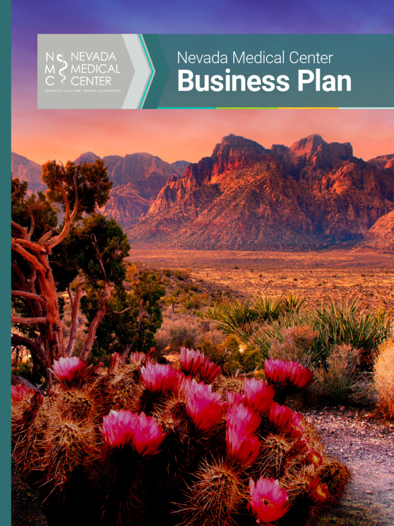 NMC Bplan v241 | PDF | Health Care | Nevada