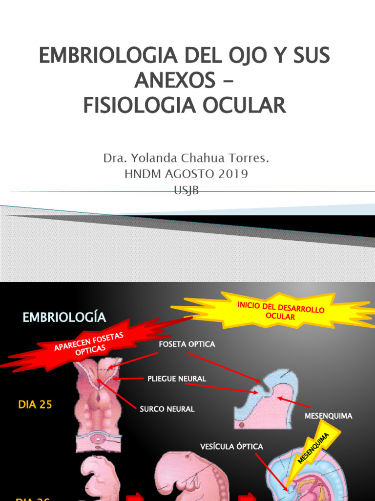 Embriologia Del Ojo y Sus Anexos | PDF | Ojo humano | Anatomía humana