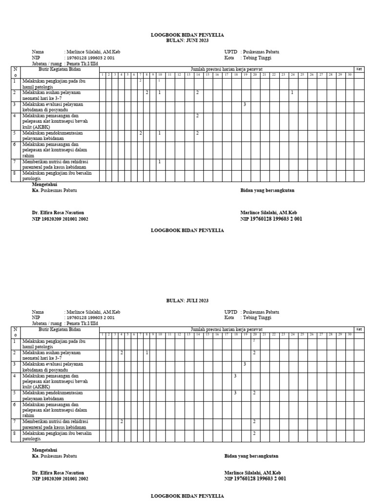 Logbook Kegiatan Bidan Penyelia 2023 | PDF