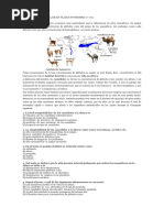 El Puente Cortometraje Ficha Técnica | PDF | Psicología Social