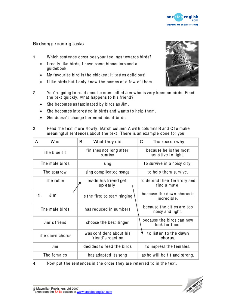 Birdwatching Reading Comprehension Tasks | PDF