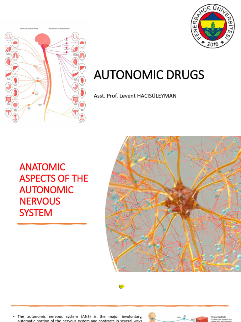 Autonomic Drugs 3 | PDF | Acetylcholine | Autonomic Nervous System