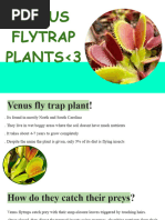 Venus Flytrap Life Cycle for Kids | PDF
