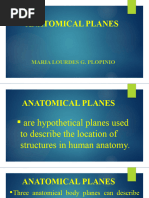 Planes and Axes of Movement - Movement Analysis in Sport - Eduqas ...