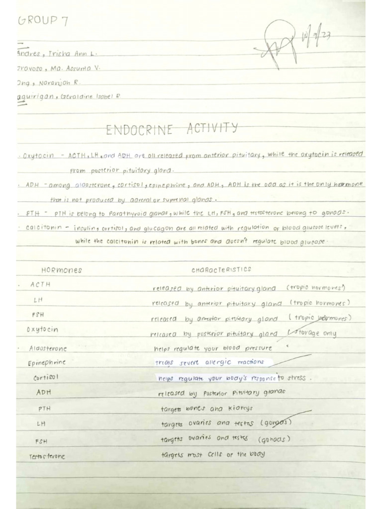 Endocrine System Activity | PDF