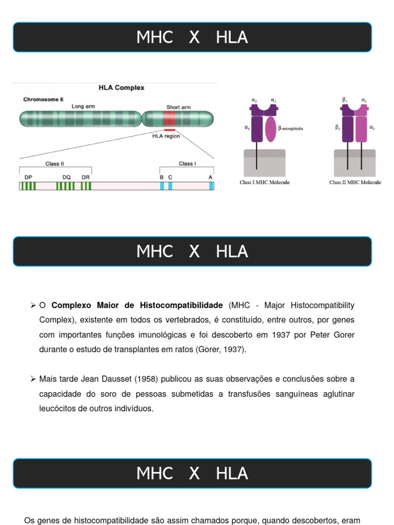 Aula 8 - MHC e HLA | PDF | Antígeno leucocitário humano | Complexo principal de histocompatibilidade