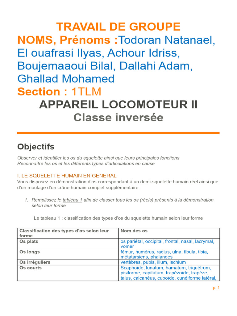 Anatomie du Système Locomoteur | PDF | Articulation (anatomie ...
