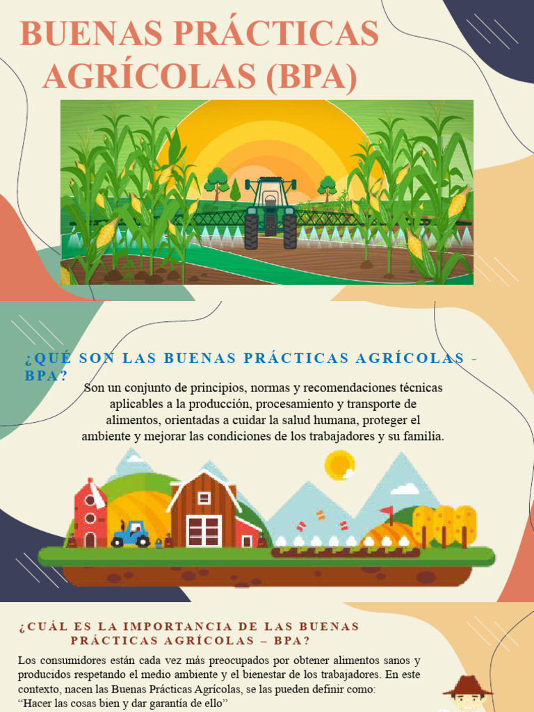 Buenas Prácticas Agrícolas (Bpa) | PDF | Agricultura | Pesticida