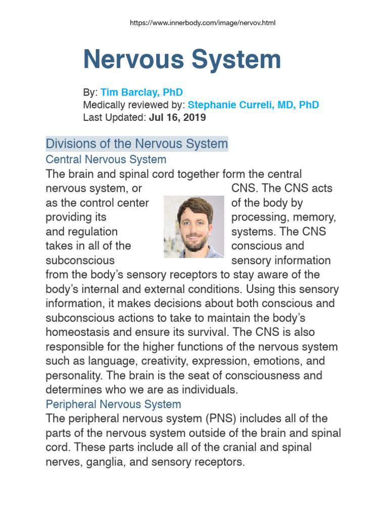 Barclay-Nervous System | PDF | Nervous System | Autonomic Nervous System