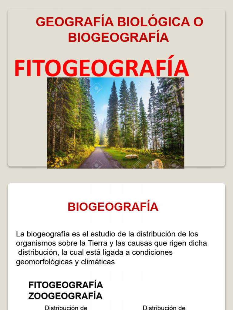 6 - Biogeografia | PDF