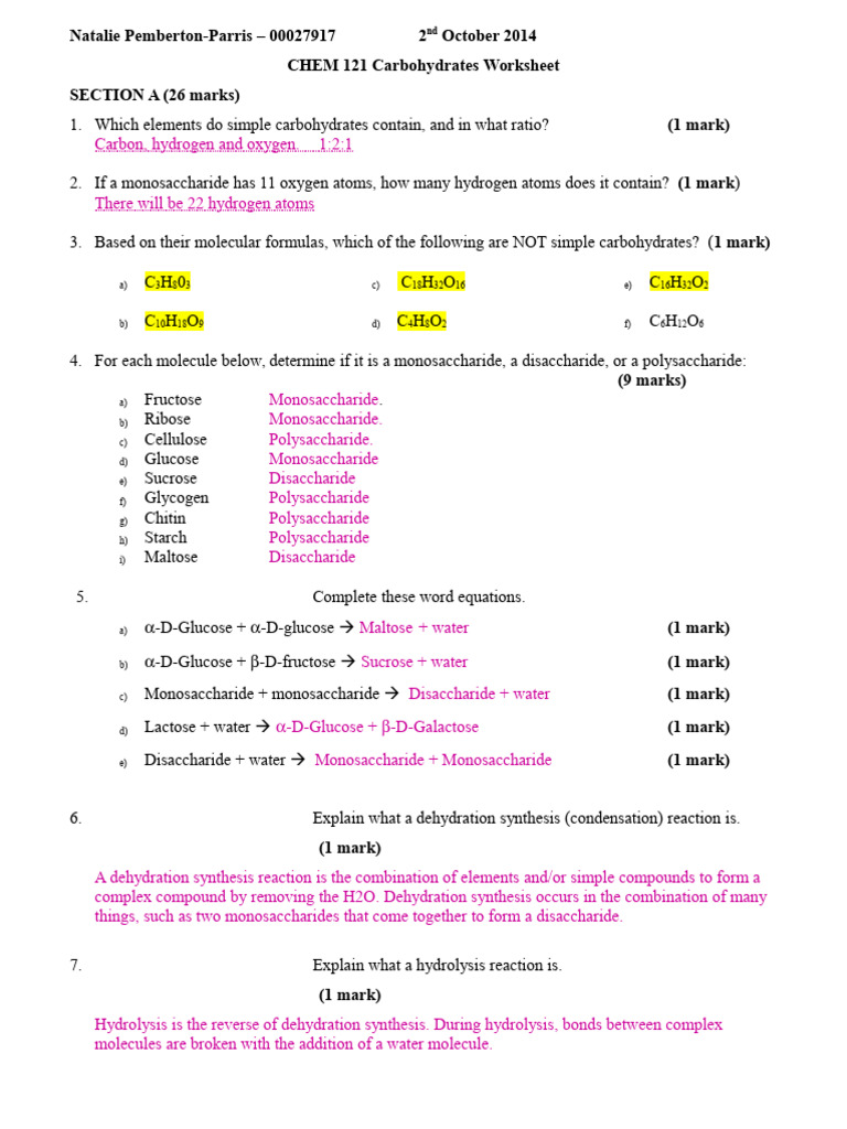 Carbohydrates Worksheet | PDF | Carbohydrates | Polysaccharide