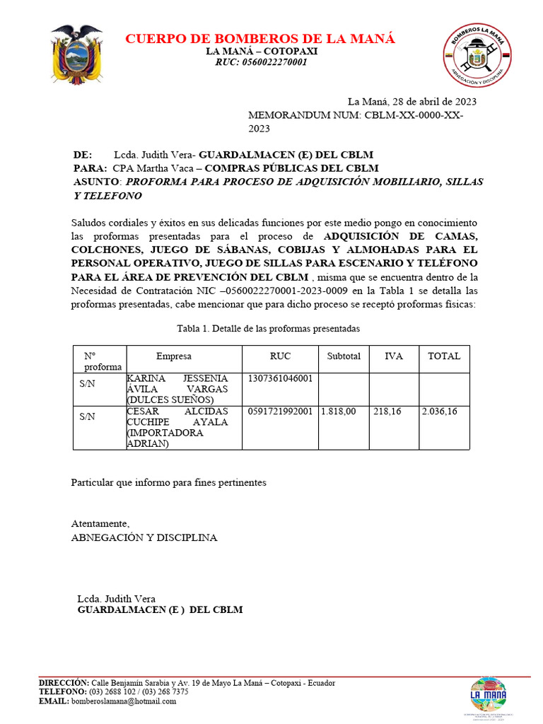 Memorandum Presentacion de Proformas | PDF