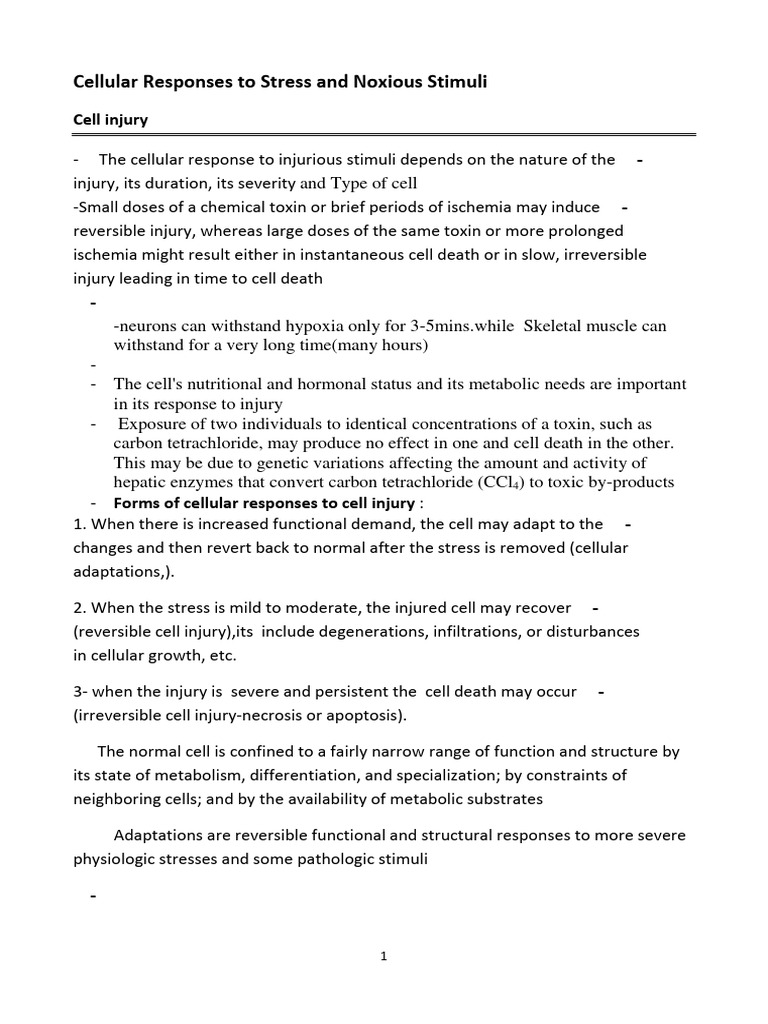 Cellular Responses To Stress and Noxious Stimuli | PDF | Mitochondrion ...