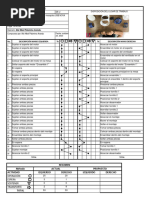 Ejemplos de Diagramas Bimanuales Completos | PDF
