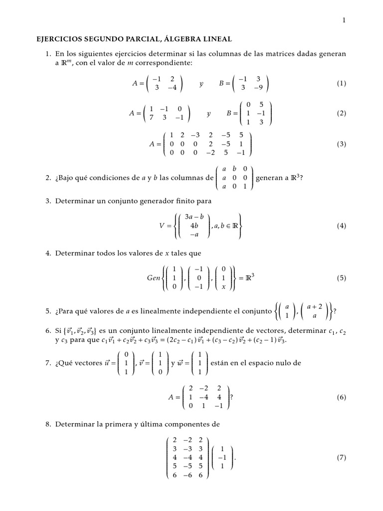 Segundo Parcial Álgebra Lineal | PDF | Matriz (Matemáticas) | Matemáticas Aplicadas