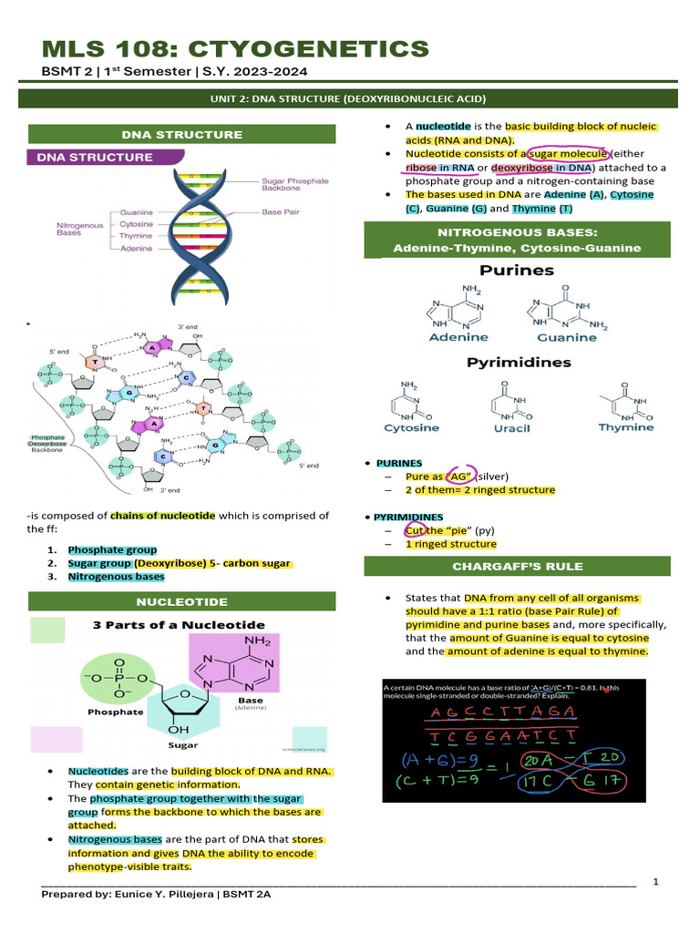 Cyto Unit 2 Transes | PDF | Dna | Nucleotides