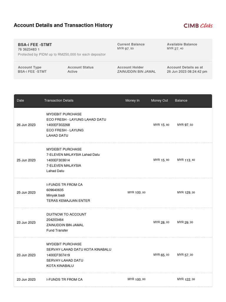BSA-i Fee Statement Summary | PDF | Debit Card | Automated Teller Machine