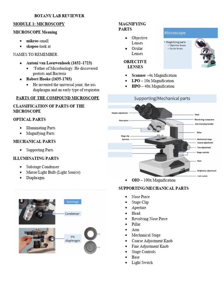 Botany Lab Reviewer | Download Free PDF | Mitosis | Osmosis