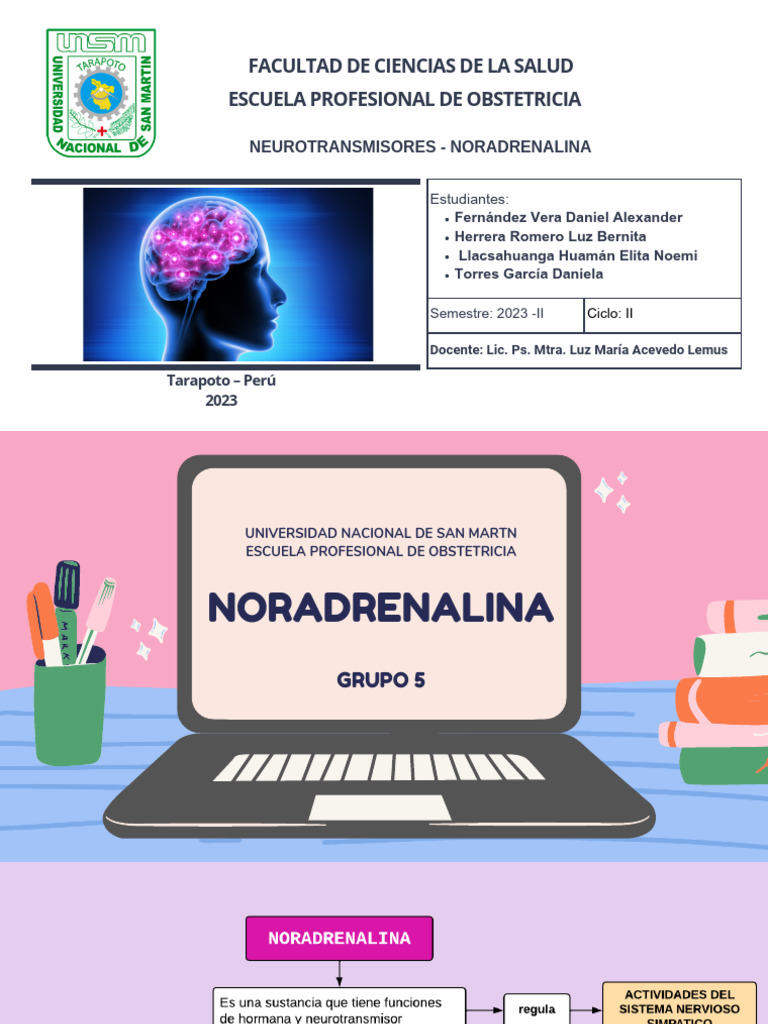 Psicologia - Noradrenalina | PDF | Norepinefrina | Estrés (biología)