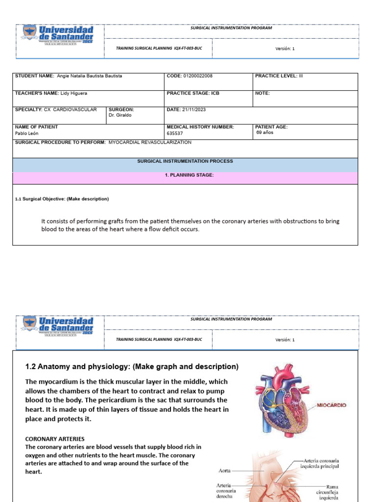 Planeamientoo RVM 3 | Download Free PDF | Heart | Coronary Circulation