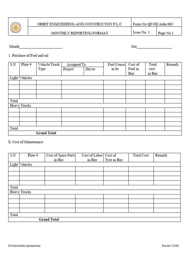 Monthly Reporting Format | PDF