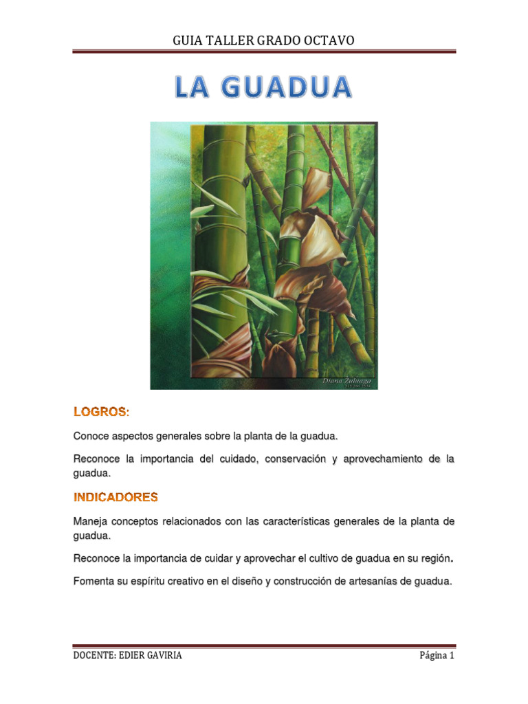 Guía sobre la planta de guadua para octavos | PDF | Tallo de la planta ...