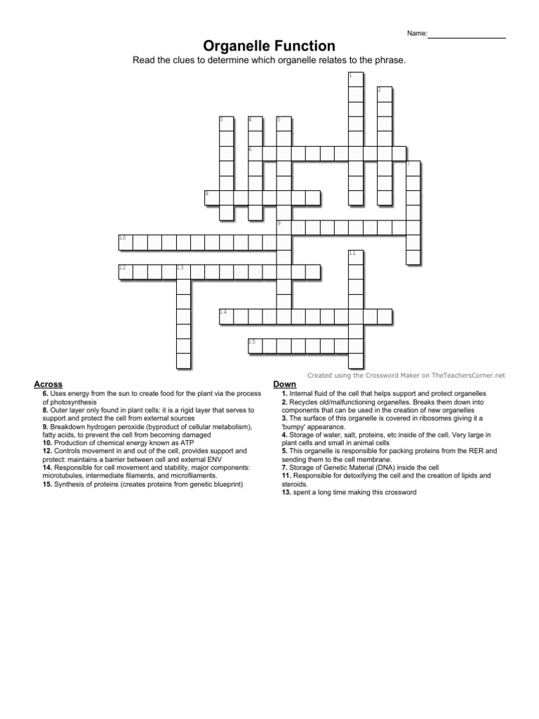 Cell Organelles Crossword Clues | PDF | Cell (Biology) | Organelle