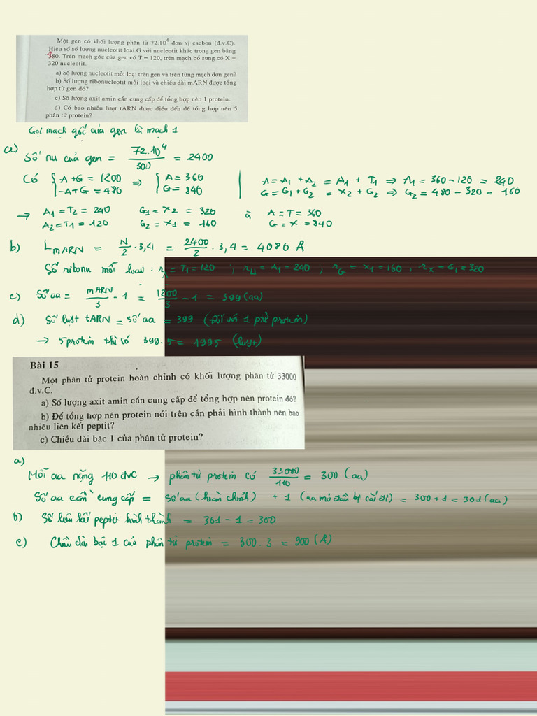 SINH ÔN KTRA LẦN 1 | PDF