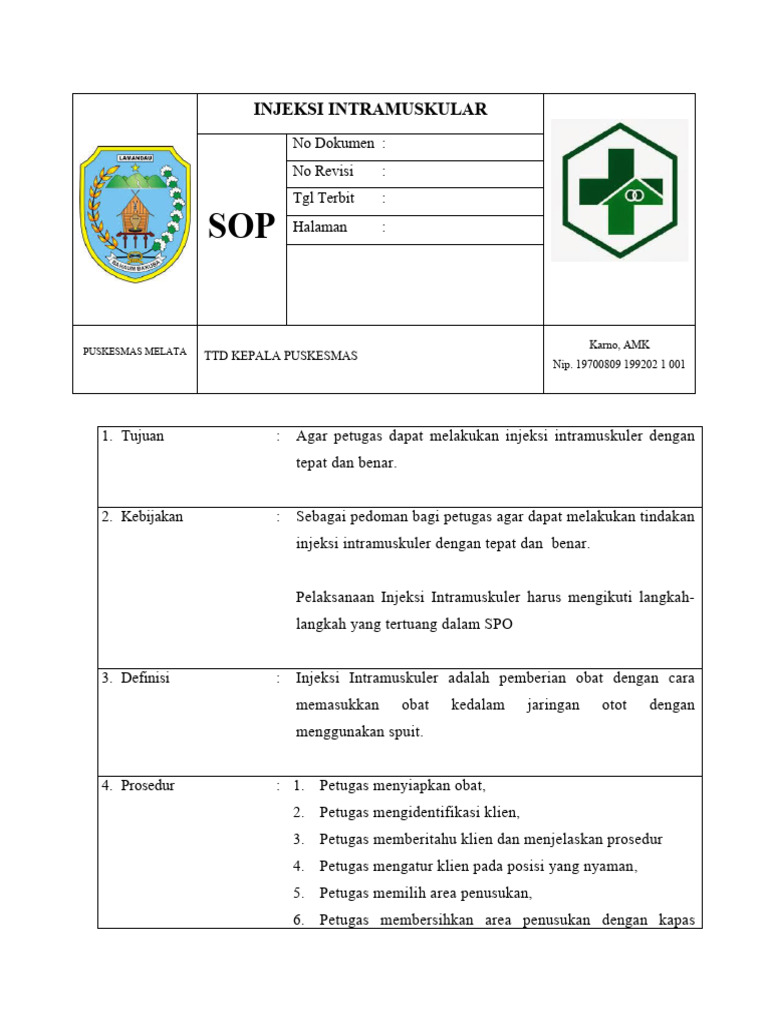 Injeksi Intramuskular | PDF