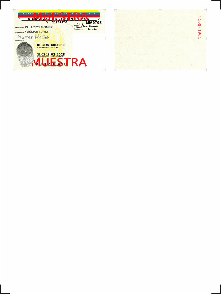Formato 1 | PDF