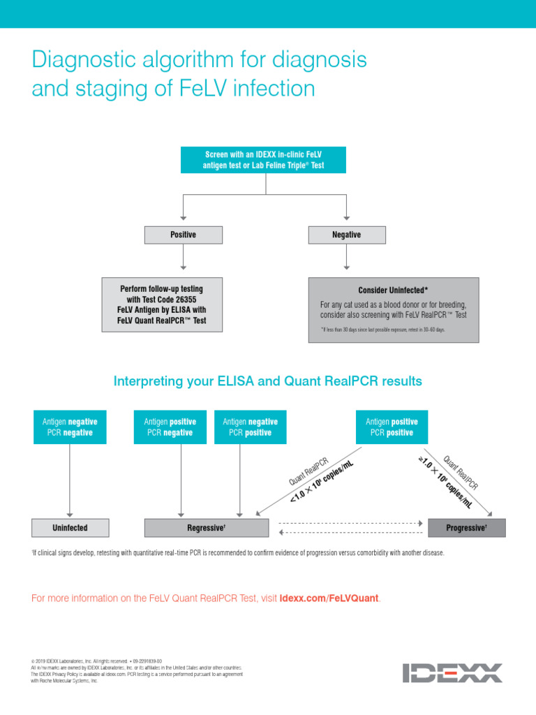 Felv Testing Algorithm | PDF | Medical Specialties | Animal Diseases