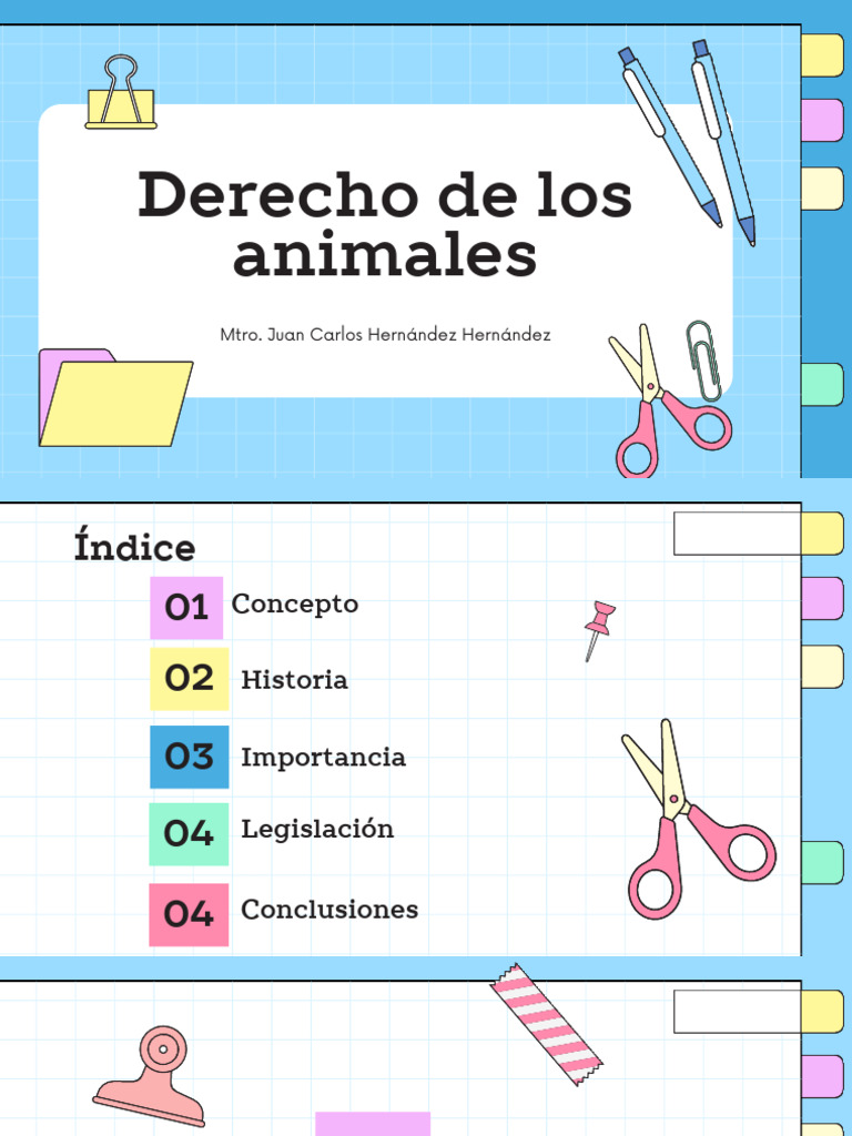 Derecho de Los Animales | PDF | Entorno natural | Sustentabilidad