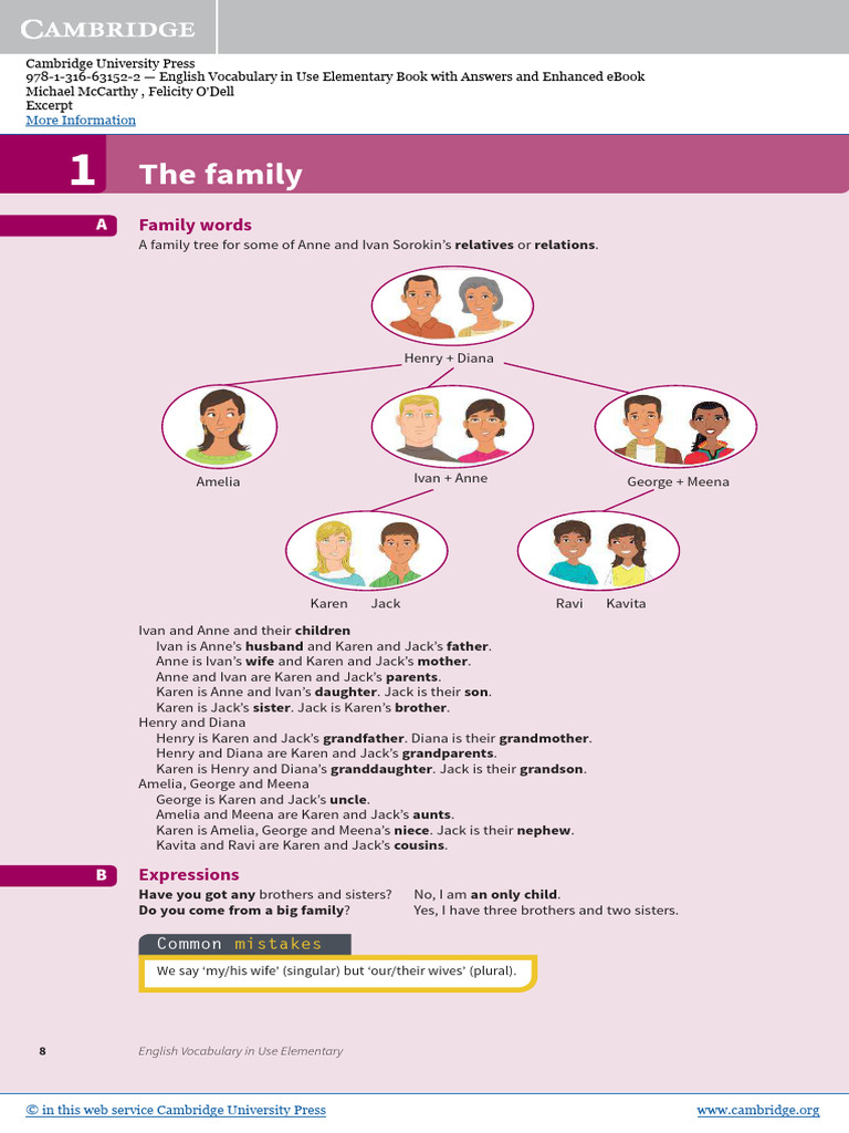 The Family English Lesson | PDF | Linguistics | Social Institutions