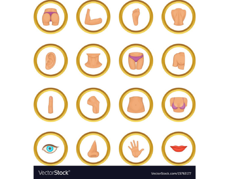 Body Parts in A Circle | PDF