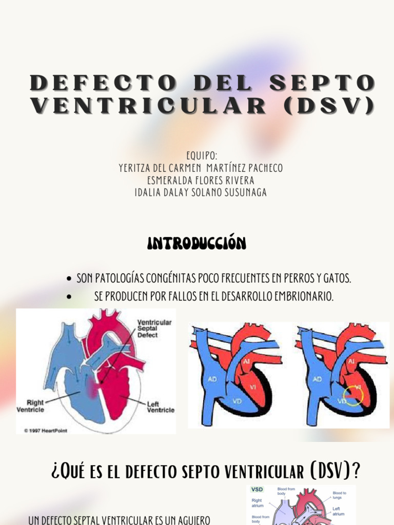 Defecto Del Septo Ventricular (DSV) en Perros y Gatos | PDF
