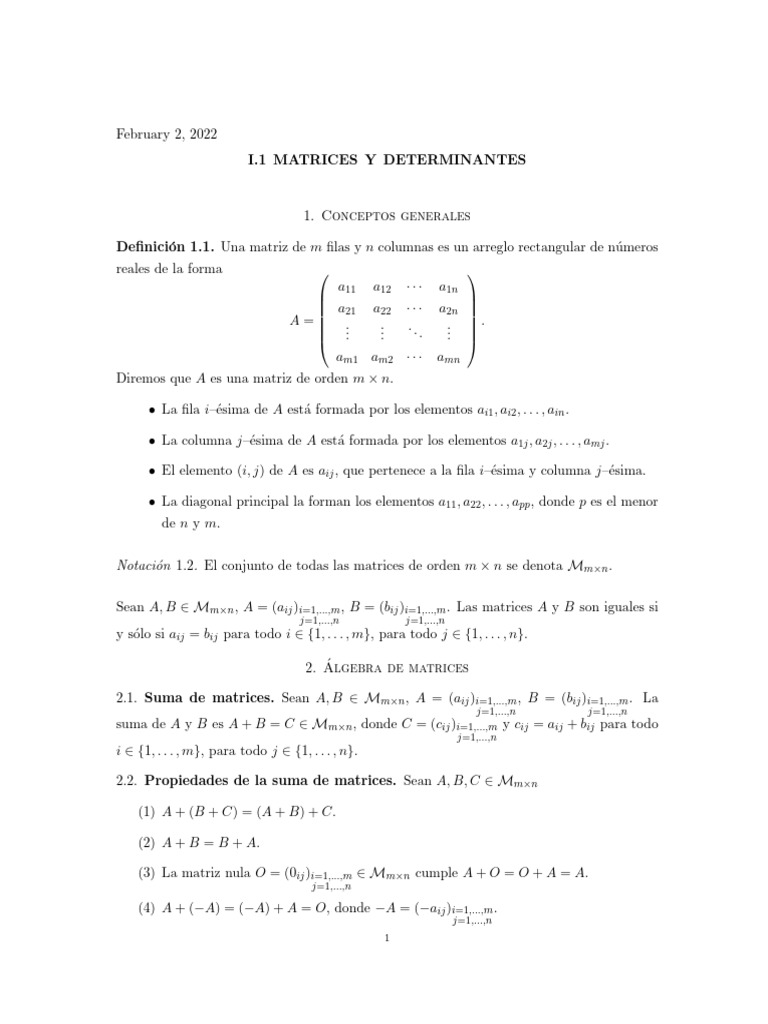 Tema1-1 Matrices Español | PDF | Matriz (Matemáticas) | Determinante