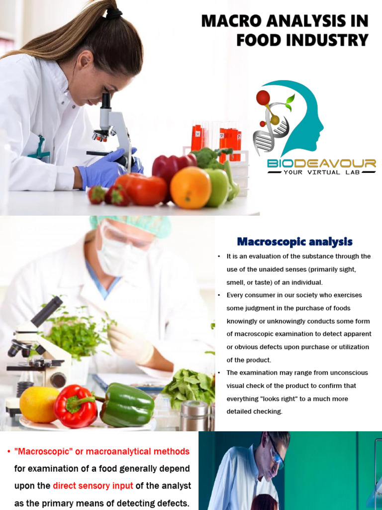 Macro-Analysis in Food Industry | PDF | X Ray | Ethanol