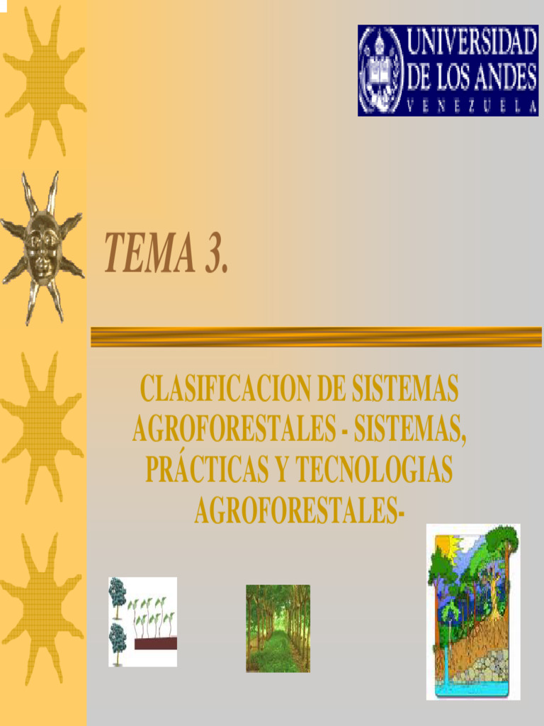 Clasificación De Sistemas Agroforestales Pdf Agricultura Arboles