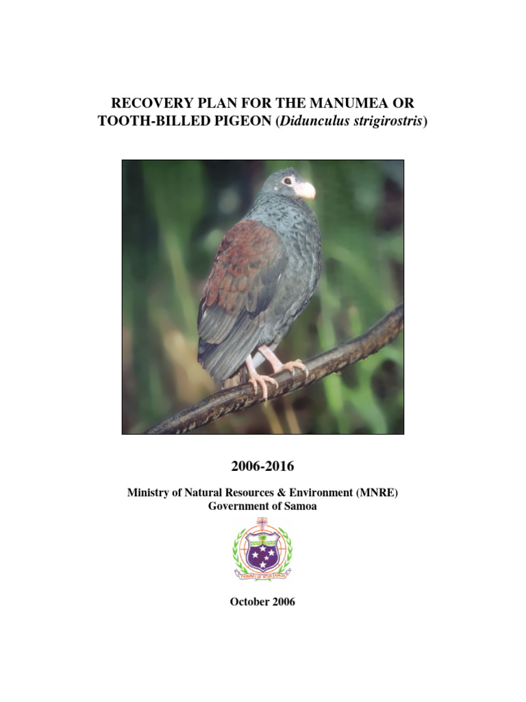 Recovery Plan For The Manumea or TOOTH-BILLED PIGEON (Didunculus ...