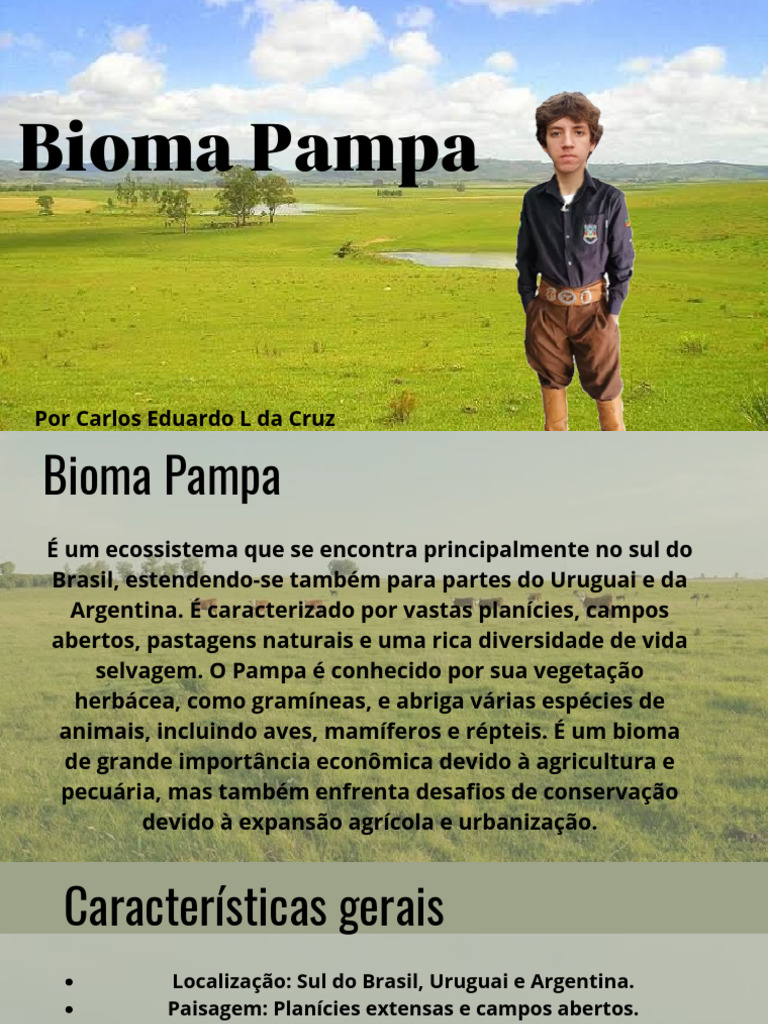 Características do Bioma Pampa | PDF