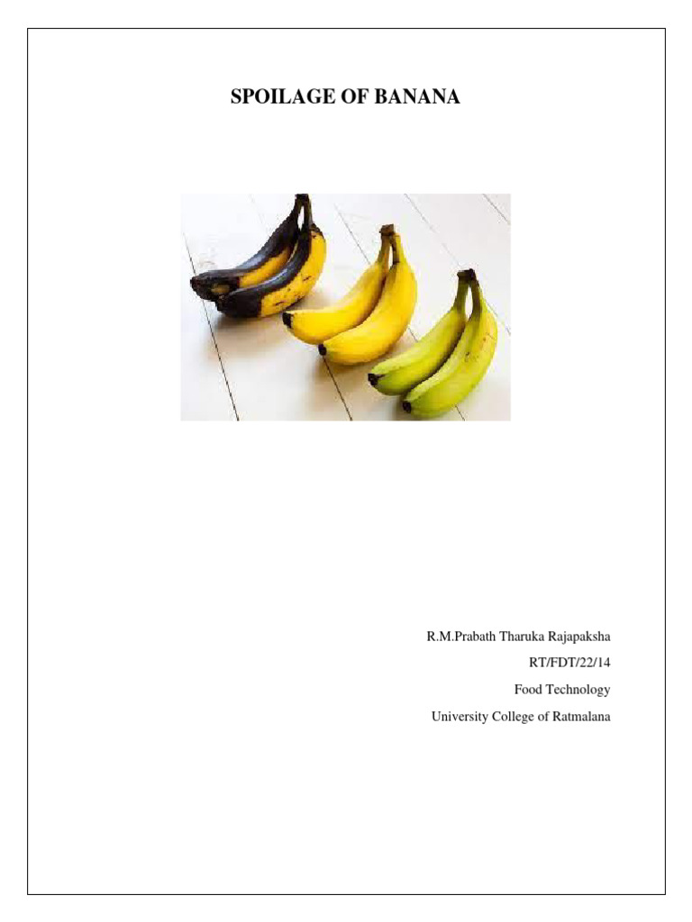 Spoilage of Banana | PDF | Decomposition | Vegetables