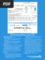 Sample Natural Gas Bill Format | PDF | Gases | Natural Gas
