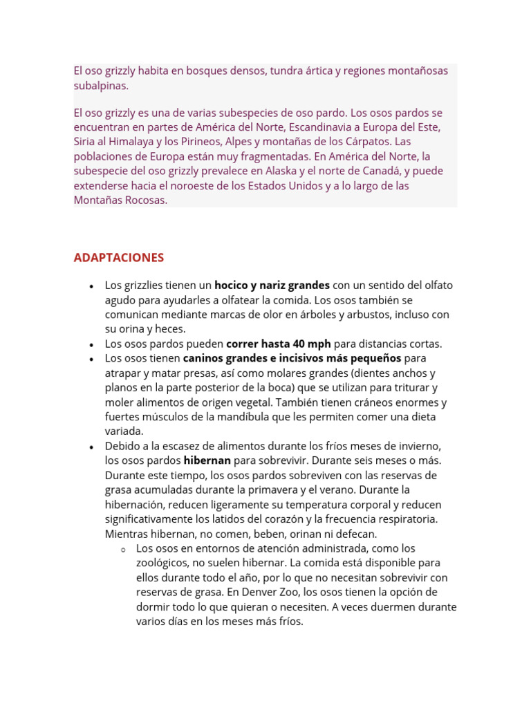 El Oso Pardo | PDF | Osos | Organismos