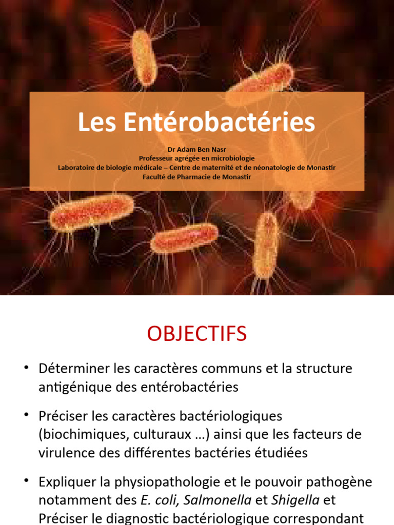 Cours Entérobactéries | PDF | Escherichia coli | Salmonelle