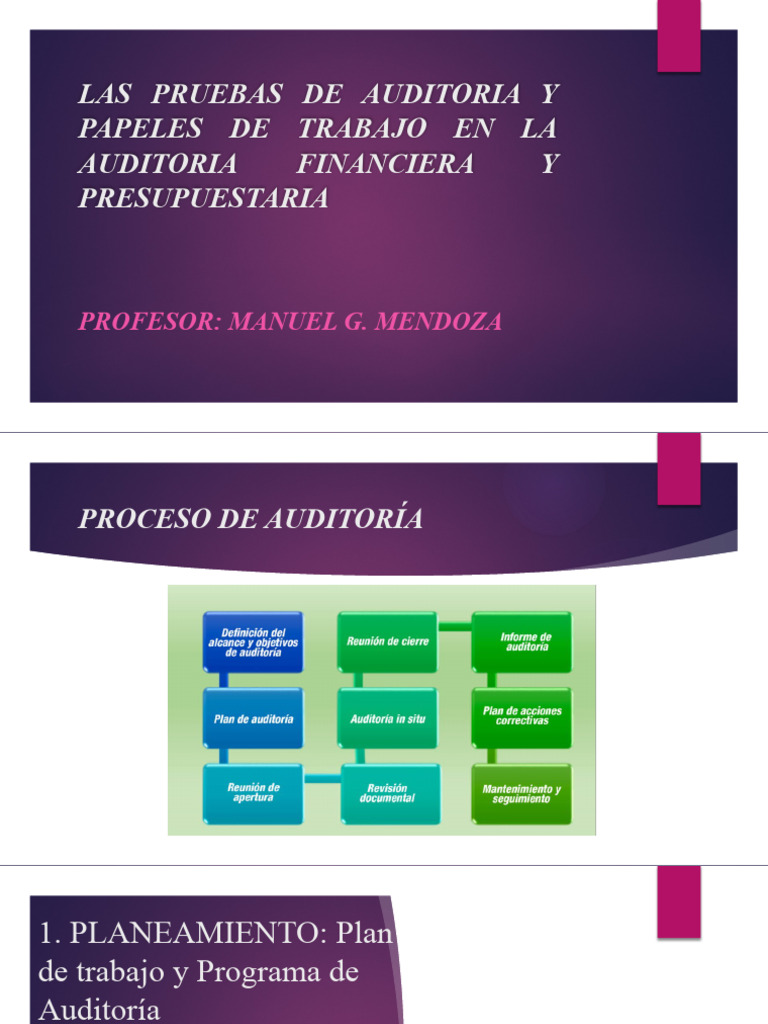 Las Pruebas de Auditoria y Papeles de Trabajo | PDF | Auditoría | Business