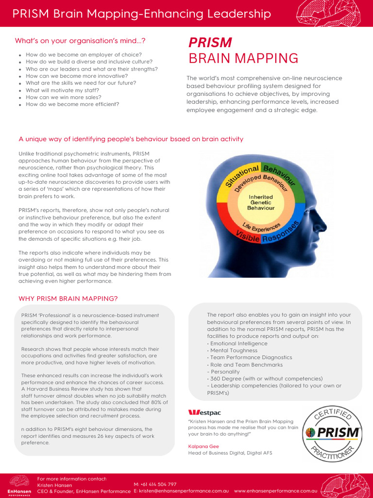 PRISM Brain Mapping | PDF | Leadership | Behavior